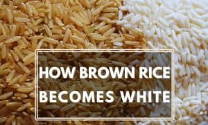 How Brown Rice Becomes White: The Process In 3 Steps – Stretch Recipes