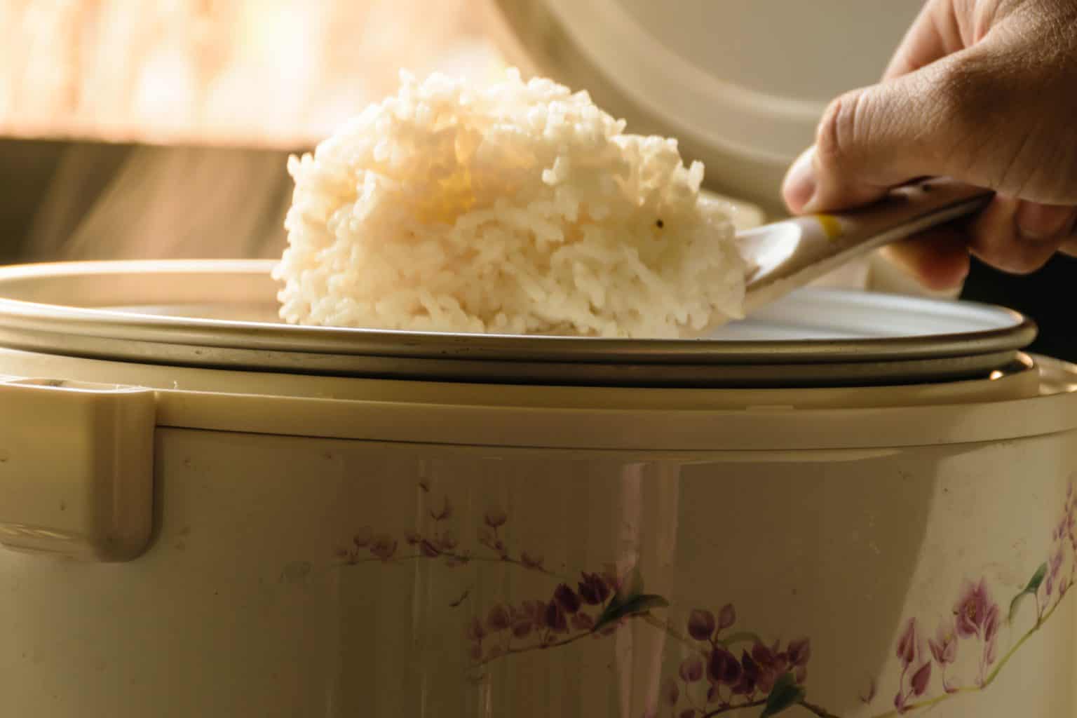 Should You Add Oil To Your Rice Cooker? Hear From An Expert – Stretch ...