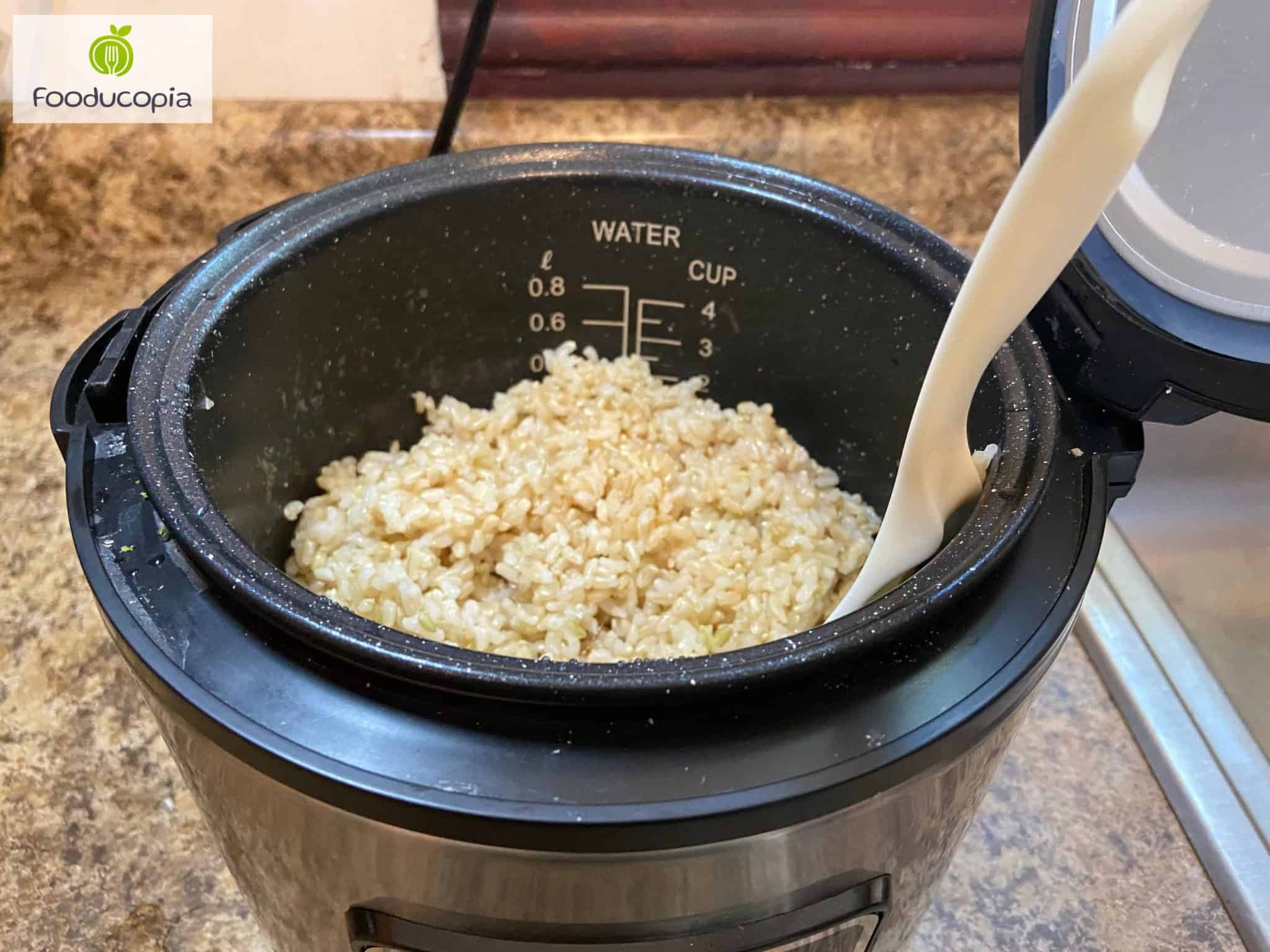 What Is An Induction Rice Cooker, And Are They Worth It? – Stretch Recipes