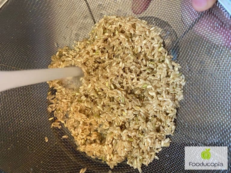 Can You Mix Brown And White Rice When Cooking? – Stretch Recipes