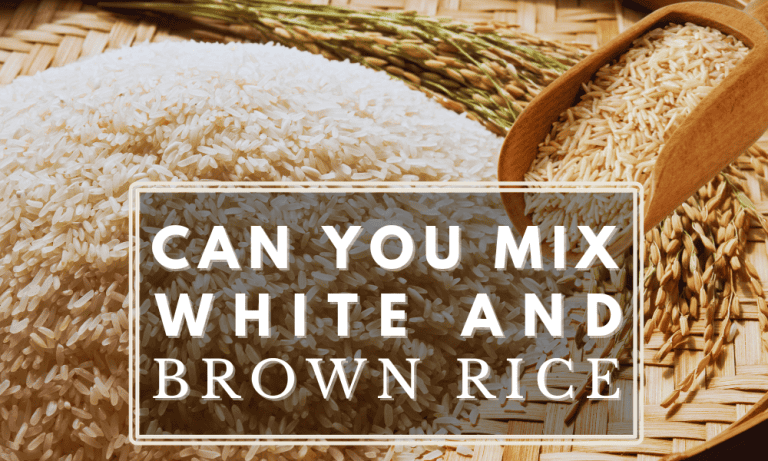 Can You Mix Brown And White Rice When Cooking? – Stretch Recipes