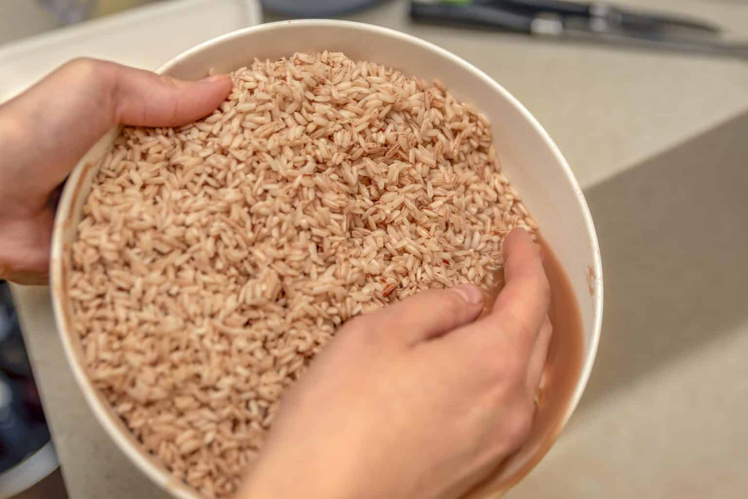 How Long To Soak Brown Rice: Everything You Need To Know – Stretch Recipes