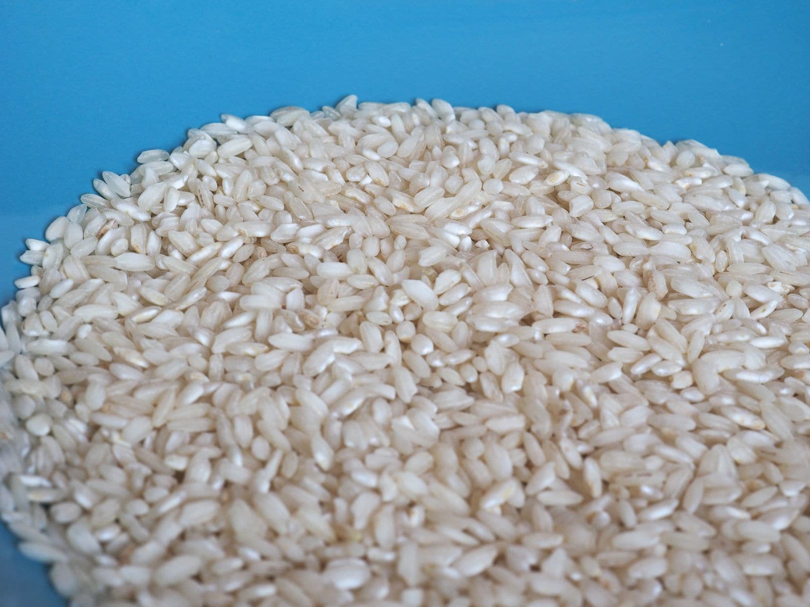 Best Rice For Rice Pudding: Creamiest Results – Stretch Recipes