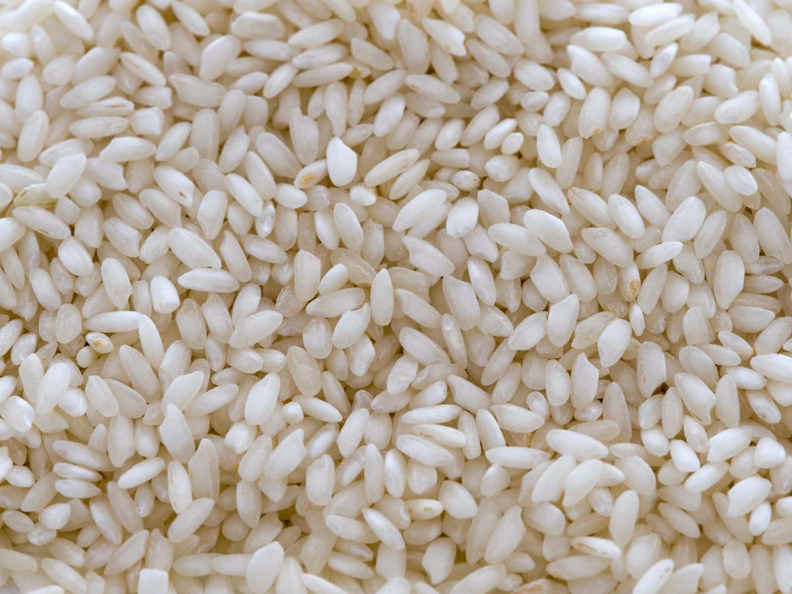 Best Rice For Risotto: The Key To This Creamy Italian Delight – Stretch ...
