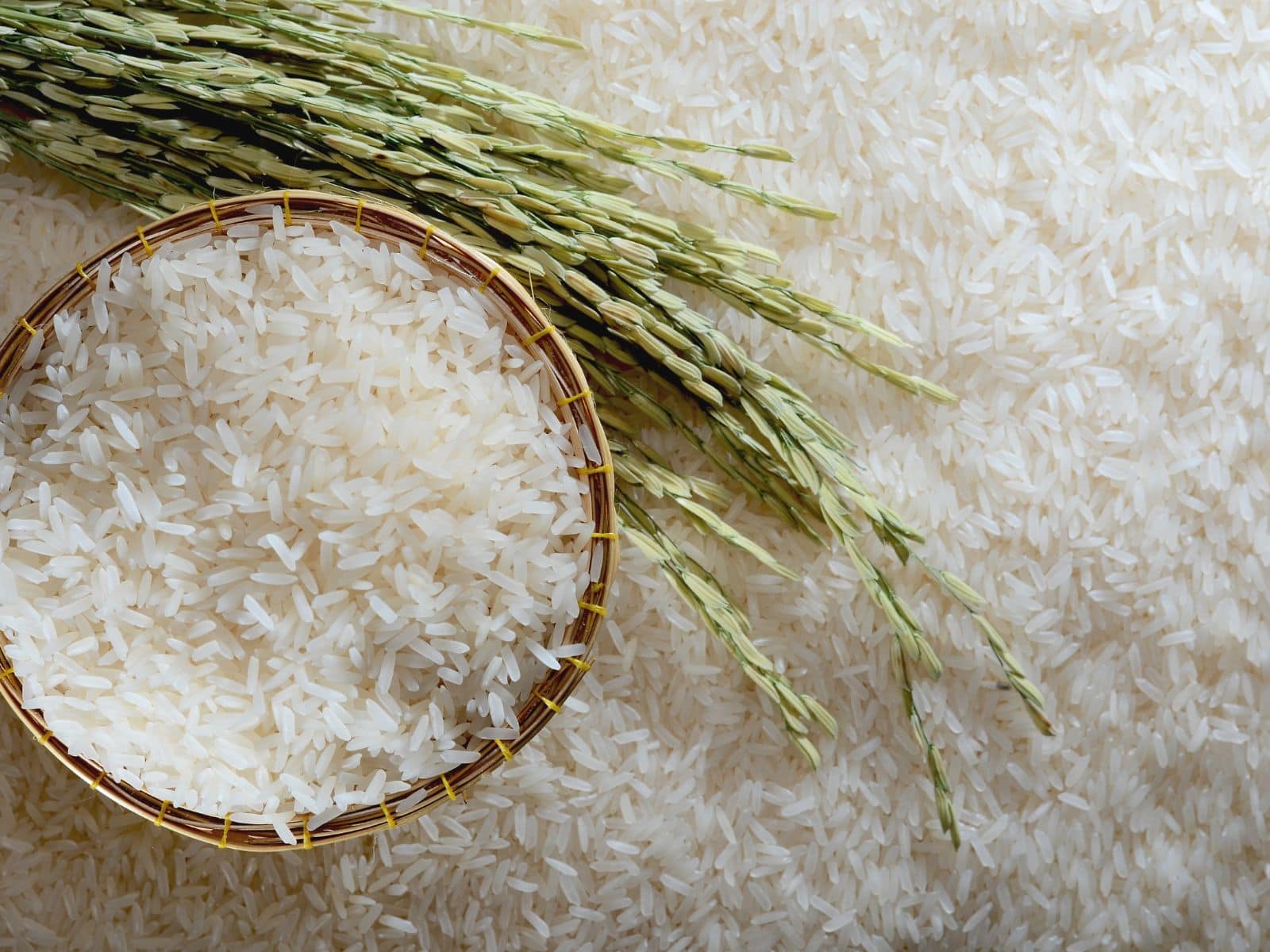 Best Rice For Gumbo: Top Picks For An Authentic Southern Feast ...