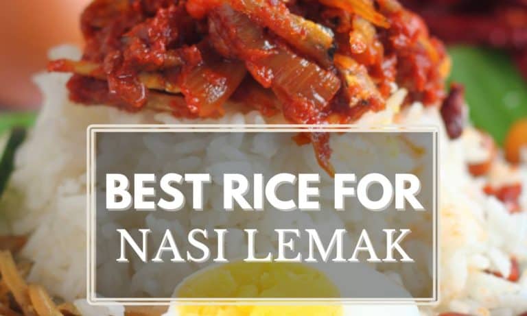 Best Rice For Nasi Lemak: Malaysia’s Most Famous Dish – Stretch Recipes