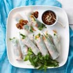 49 Ways To Wrap It Up: Rice Paper Recipes For Every Taste – Stretch Recipes