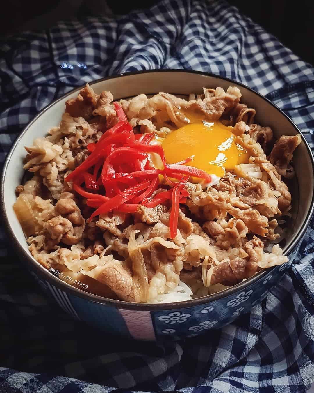 16 Ways To Enjoy Donburi: Rice Bowls That Hit The Spot – Stretch Recipes