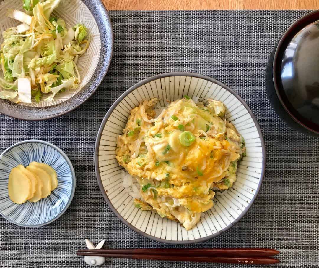 16 Ways To Enjoy Donburi: Rice Bowls That Hit The Spot – Stretch Recipes