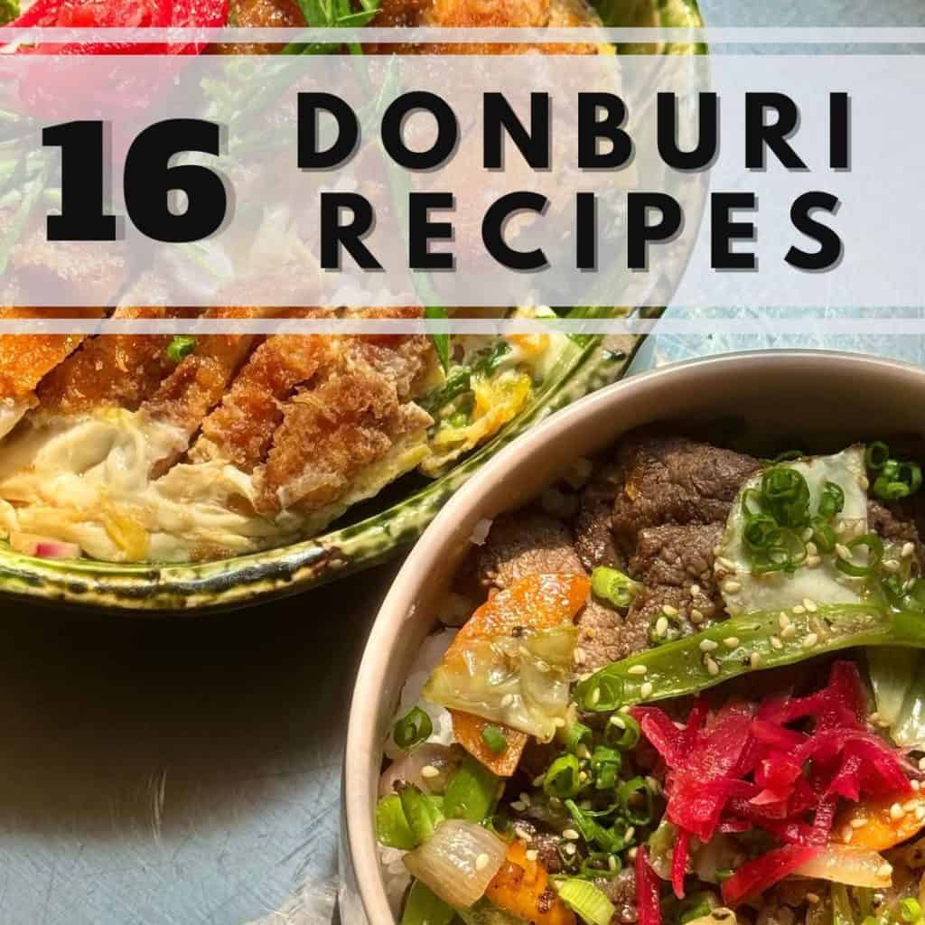 16 Ways To Enjoy Donburi: Rice Bowls That Hit The Spot – Stretch Recipes