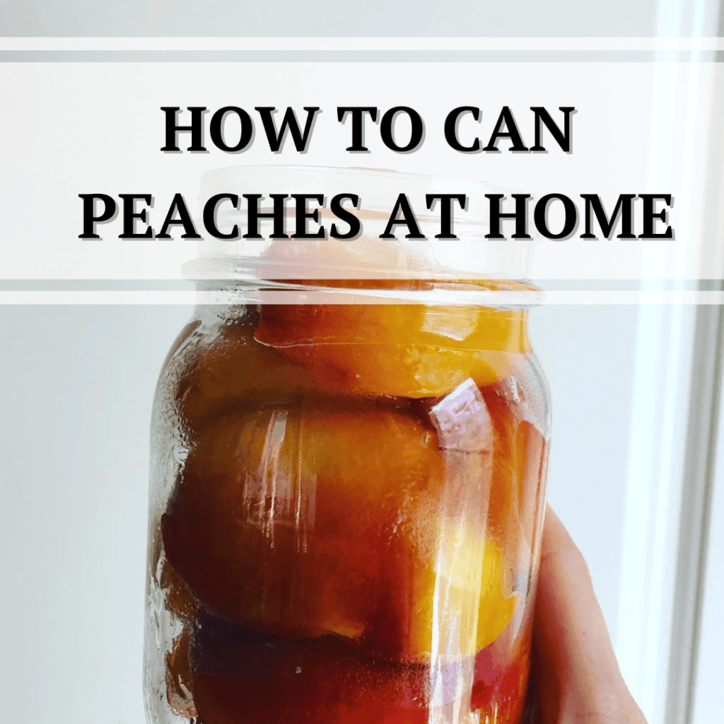 How To Can Peaches At Home (Hot Pack Method) – Stretch Recipes